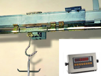 Overhead Rail Scale for the Meat Processing Industry - ACHAIKI ...